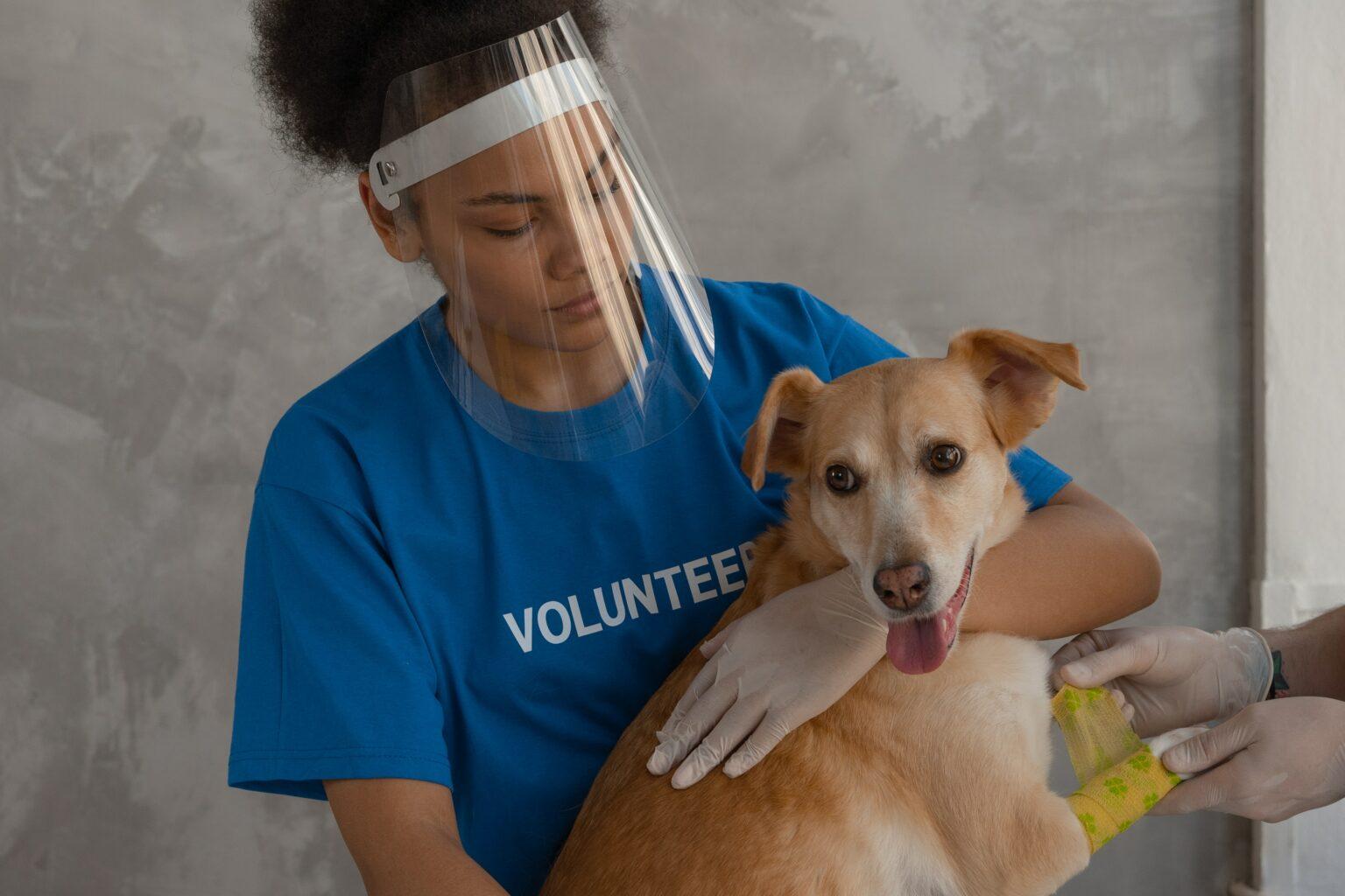 The Joy of Giving Back: Learn How Volunteering and Acts of Kindness Can ...