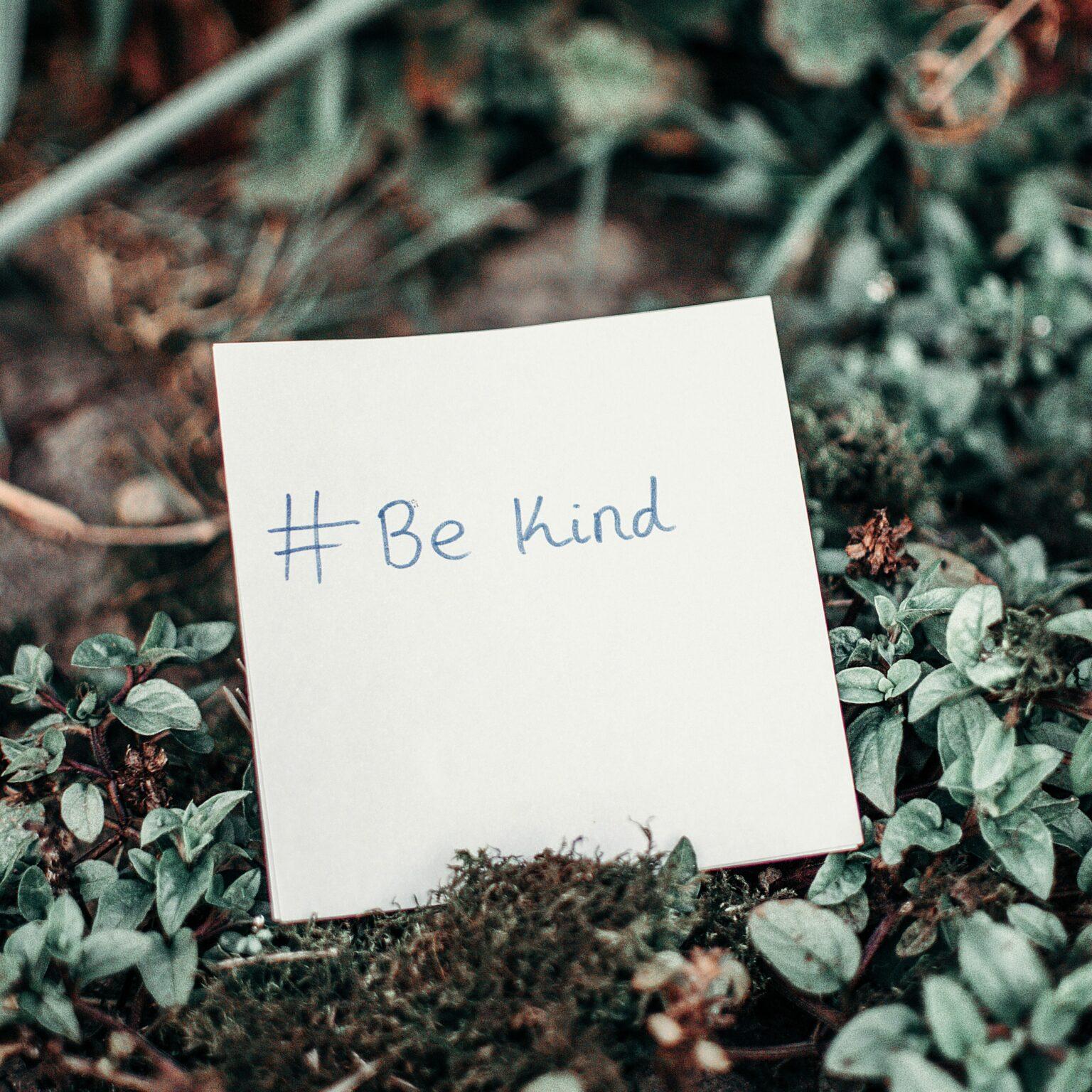Be Kind: 75 Kindness Affirmations to Help You Spread Kindness Daily ...